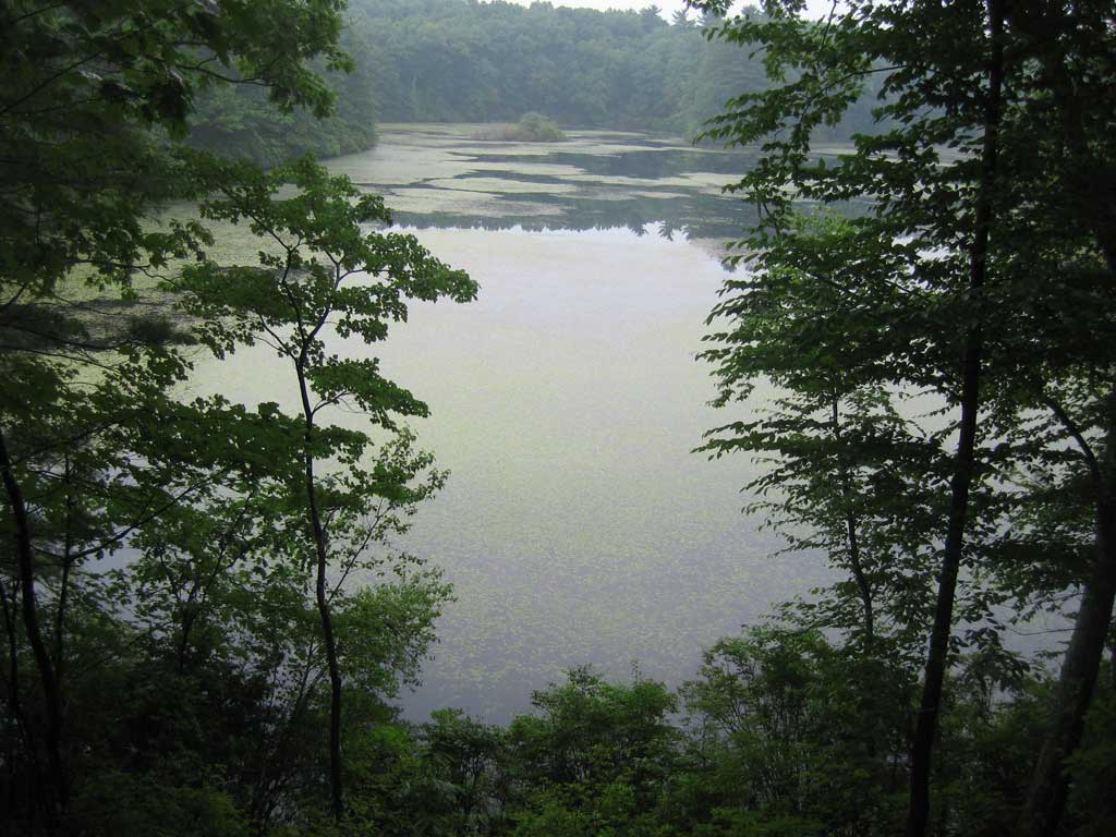 Yogananda.us - The Yogi Connection