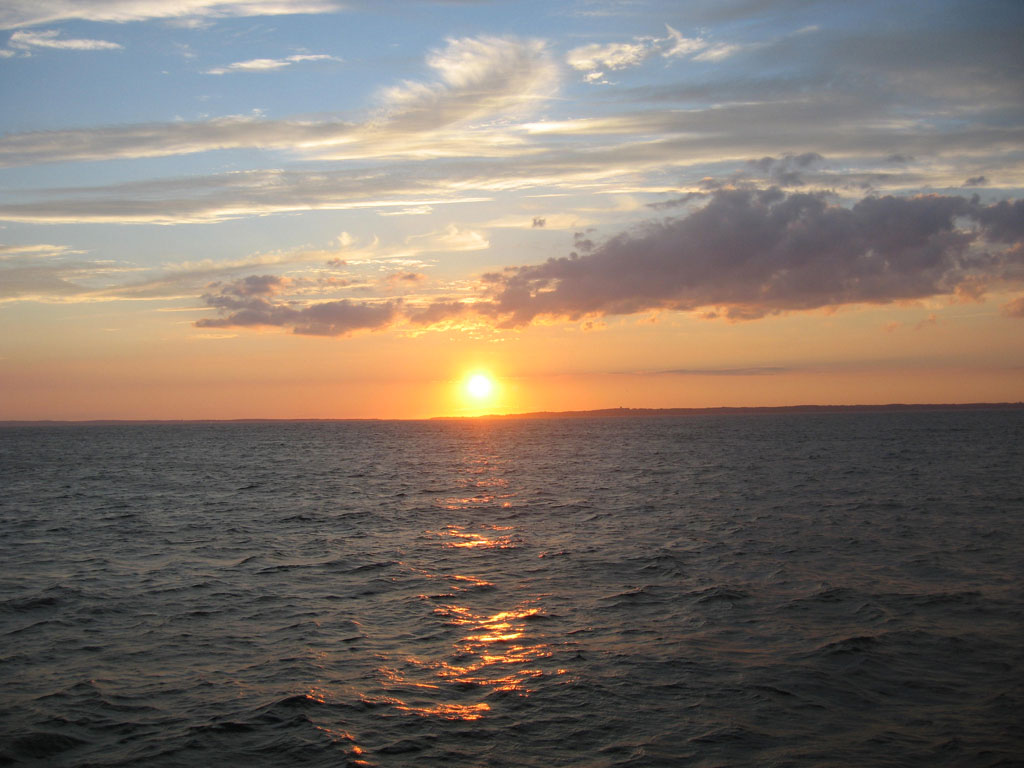 Yogananda.us - The Yogi Connection